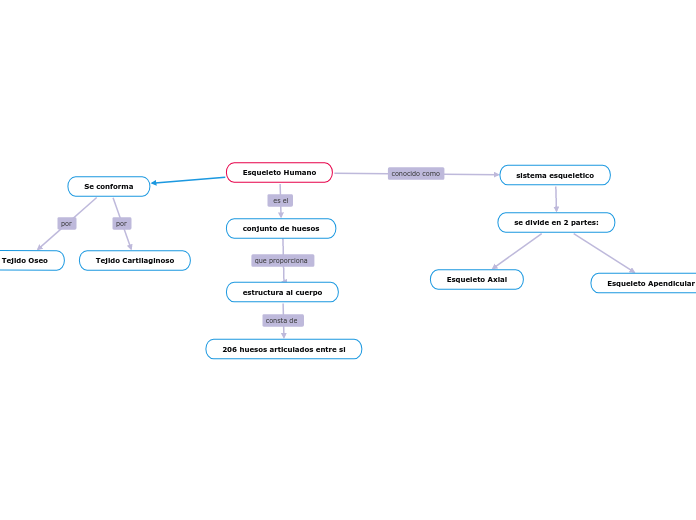 Esqueleto Humano - Mind Map